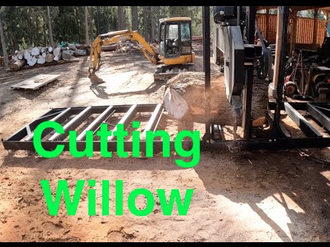 Cutting a Willow log on my 6ft wide bandsaw mill - YouTube