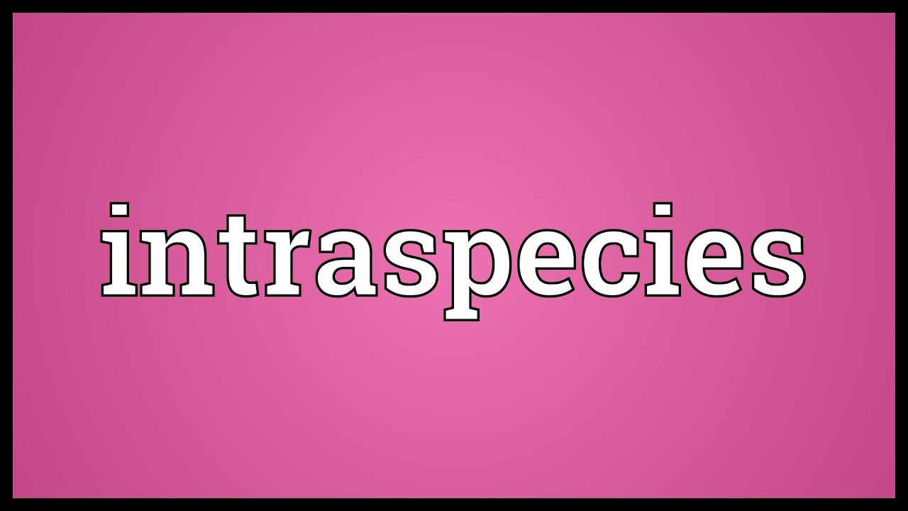 Intraspecies Meaning - YouTube
