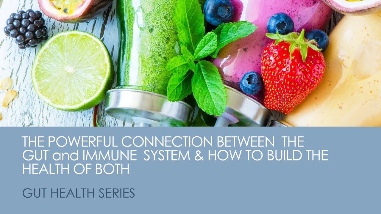 "The Powerful Connection Between the Gut and Immune System & How to ...