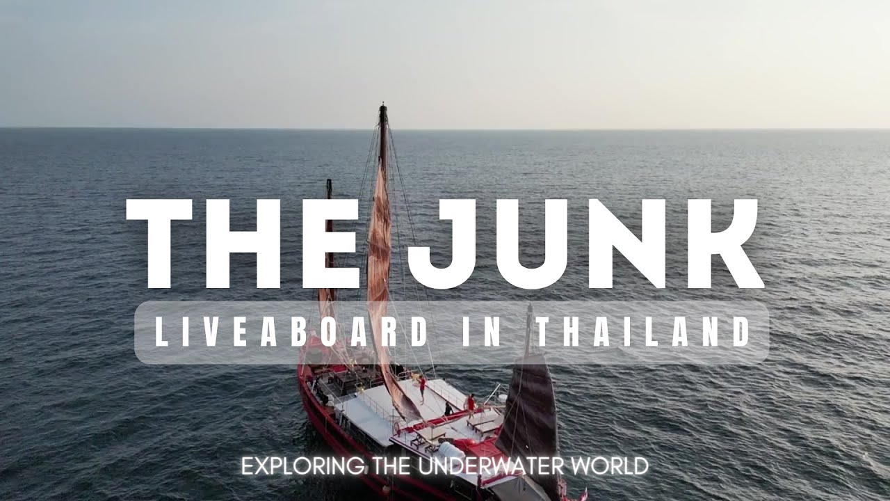 Thailand Liveaboard - The Junk 2024 Diving in Similan and Surin Whale ...