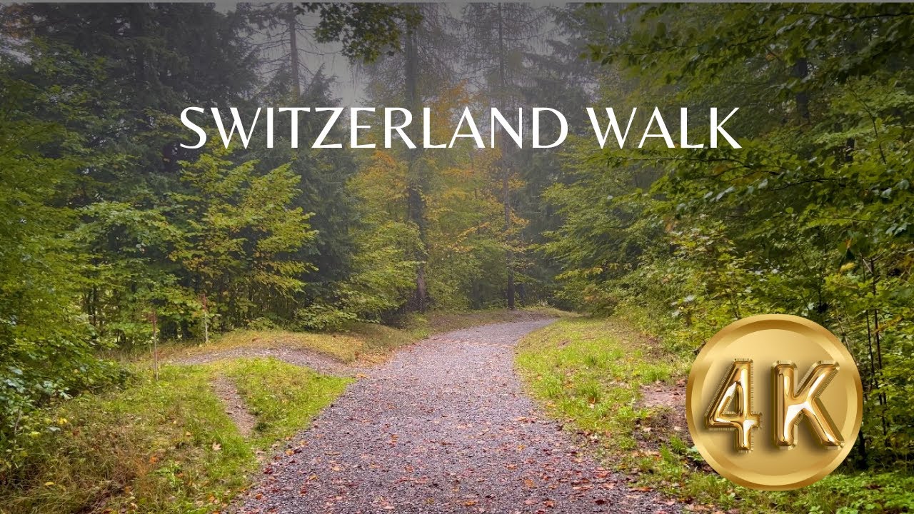 4K Walk trough the forest on an a foggy day in Switzerland - YouTube