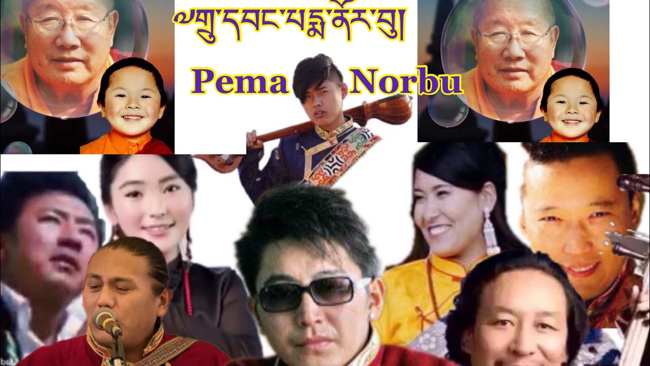 Tibetan Song | Druwang Pema Norbu Rinpoche| Tribute song collection ...