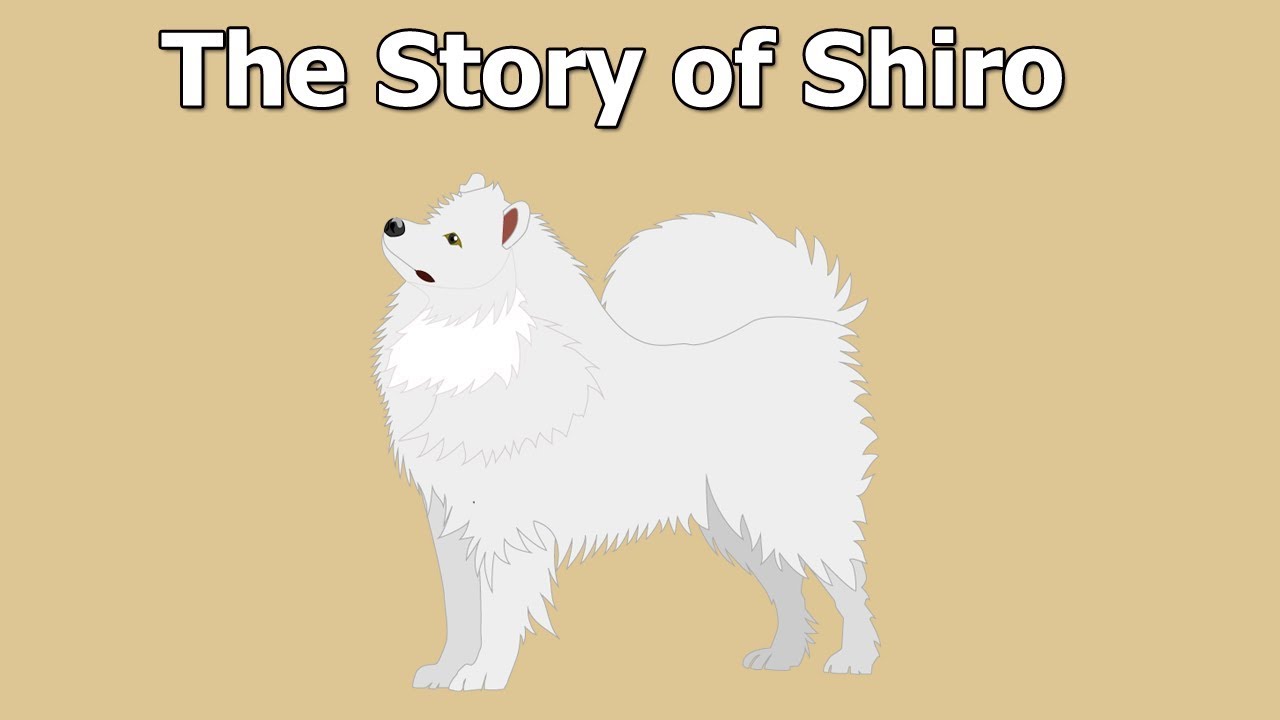 The Story of Shiro The Dog - YouTube