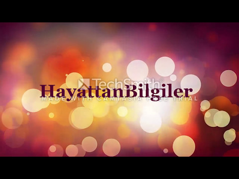 mermi karıncası hakkında bilgiler!!!