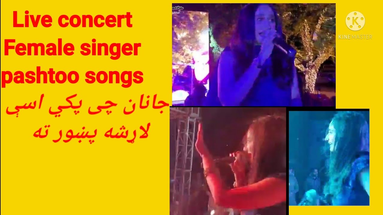Live concert female singer | Pashto songs in concert | in peshwar - YouTube