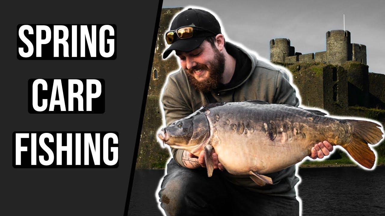 Spring Carp Fishing - Caerphilly Castle - YouTube