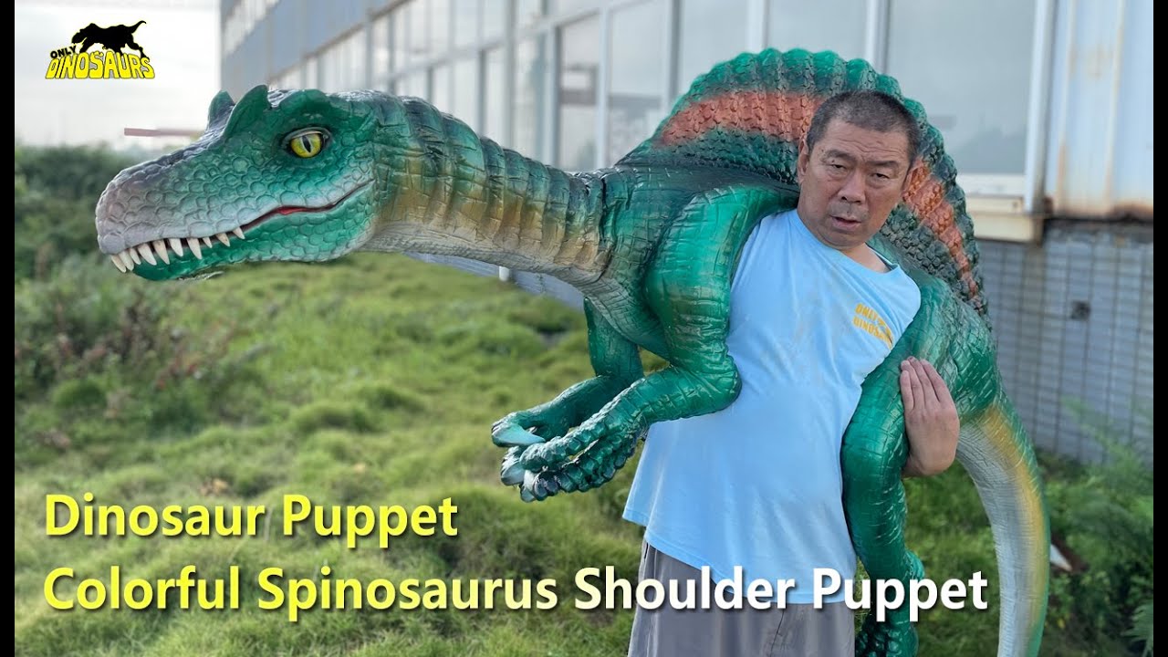 Colorful Spinosaurus Shoulder Puppet for Sale | Puppets - YouTube