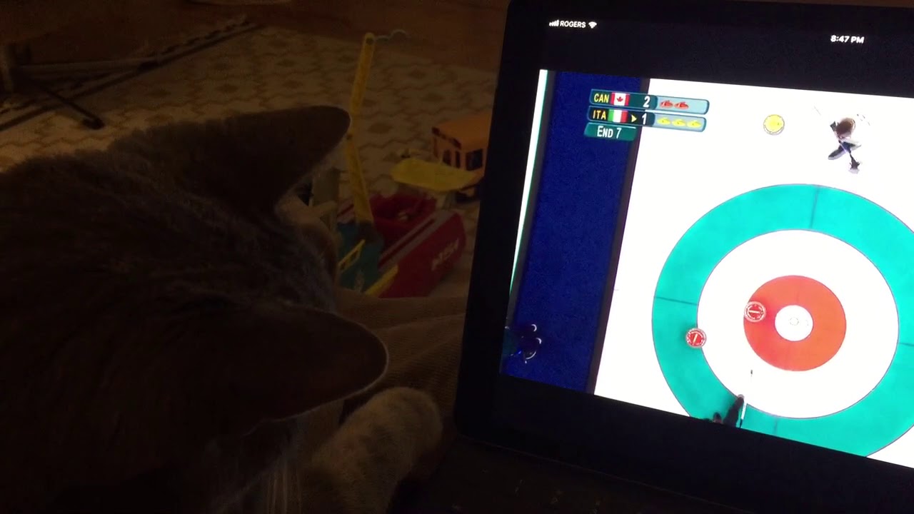 Cat curling - YouTube