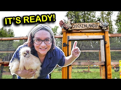 Tour My Dream Chicken Coop and Run (A Year in the Making!)