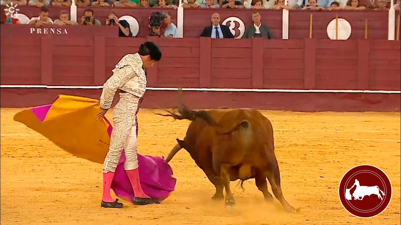 David de Miranda, segundo toro, Feria de Málaga 19-08-2025, - YouTube