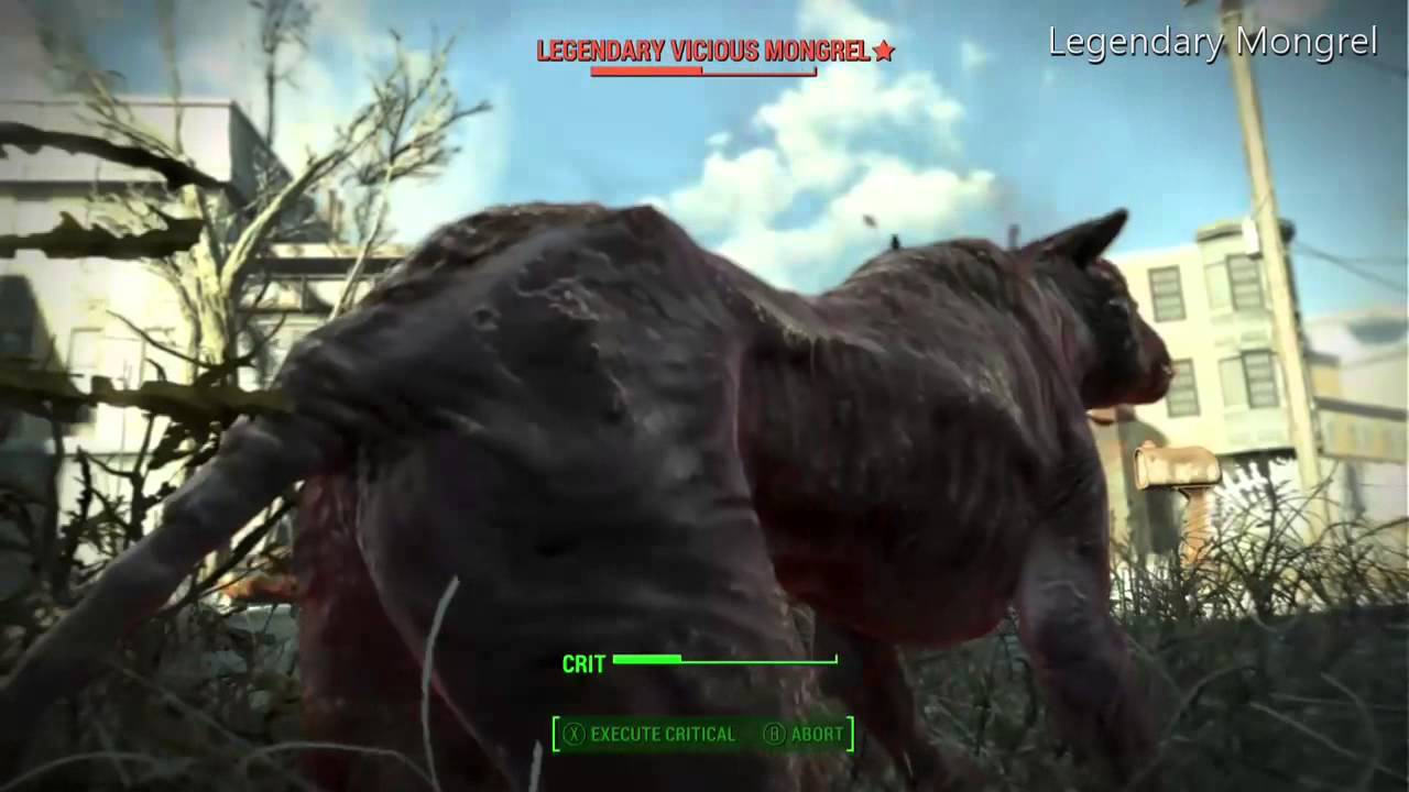 Fallout 4: Legendary Mongrel - YouTube