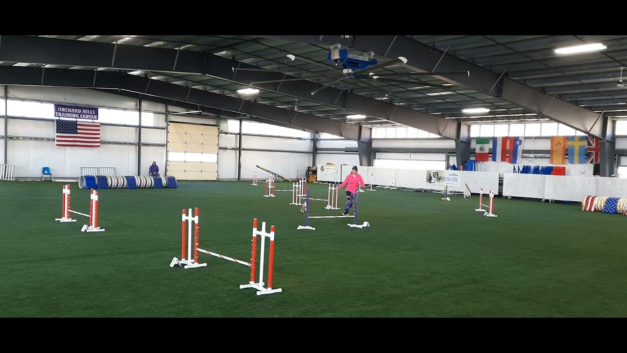 Cash, 1st time at 3D Agility. L2 Snooker. - YouTube