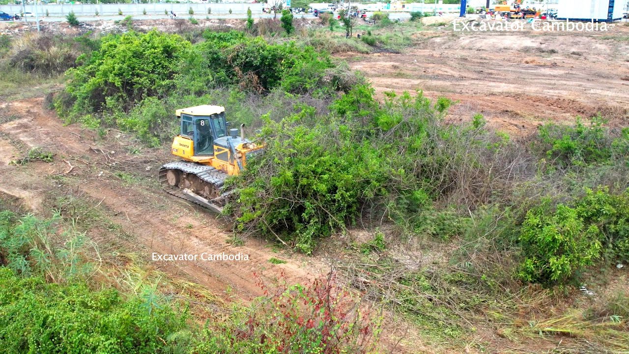 Incredible Project Clearing Forest By Skills SHANTUI DH17C2 Bulldozer ...