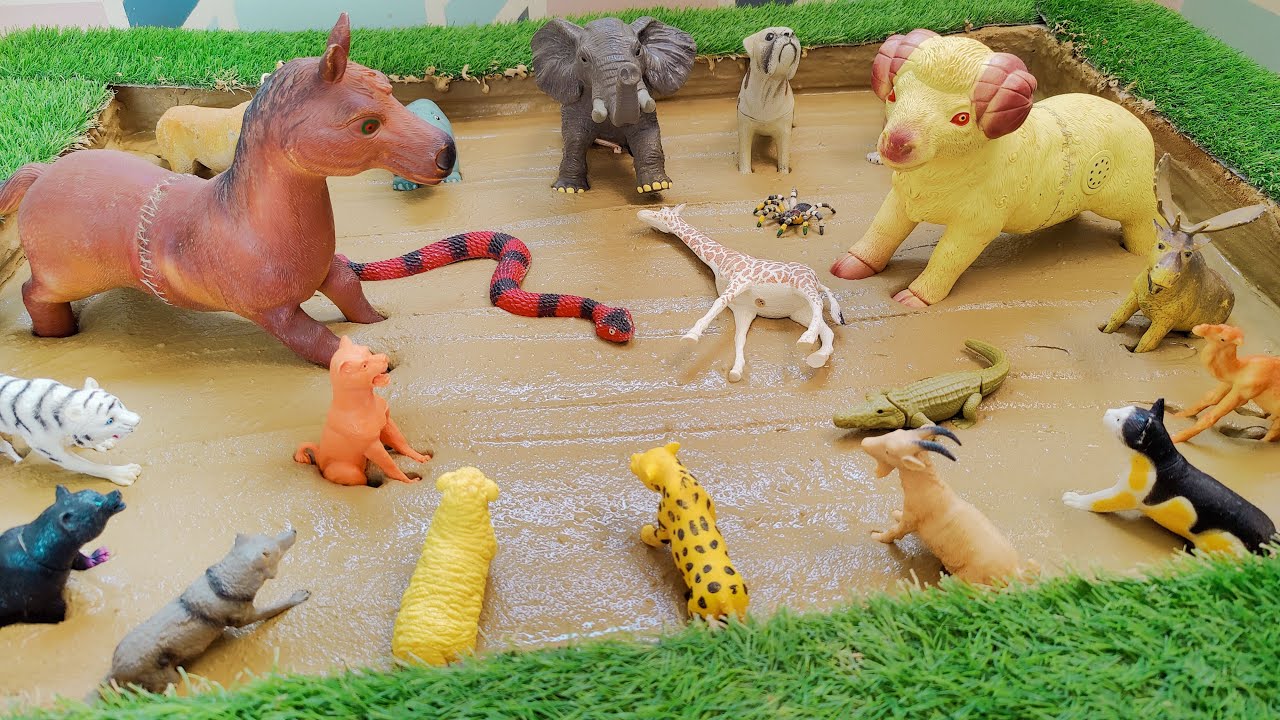 Learning with Animals: Muddy Farm Animals and Jungle Creatures Fun for ...