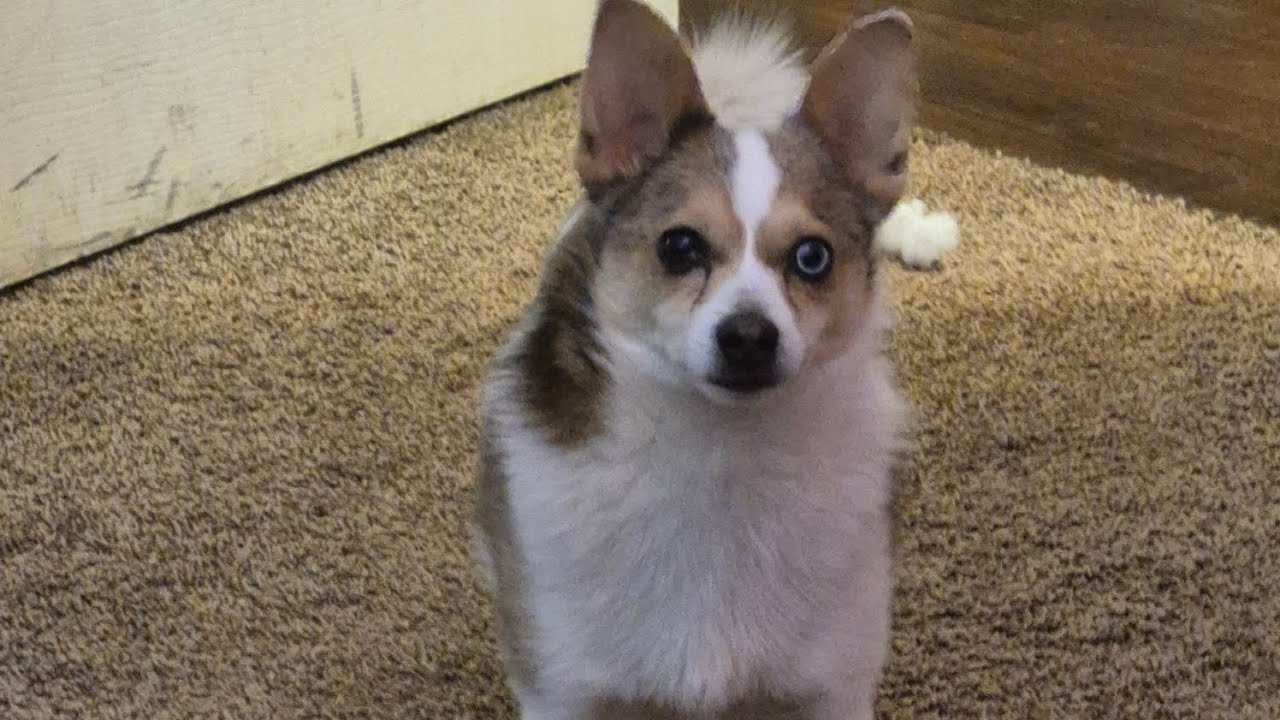 Science Flavor Project 622 - YouTube