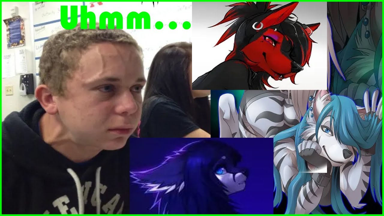 Ranking furry girls... - YouTube