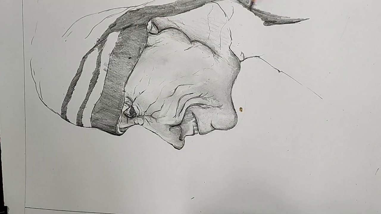 how to draw a portrait old women for beginner {all about drawning ...