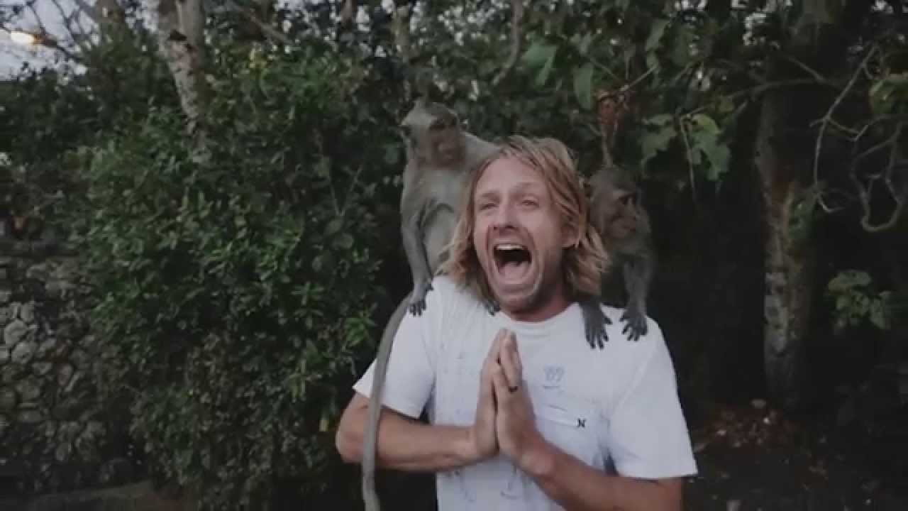 Switchfoot - Fading West Clip (Monkeys in Bali) - YouTube