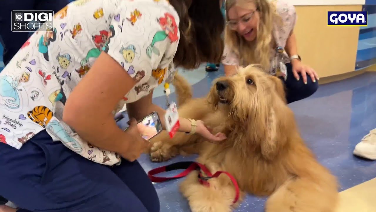 Digi Shorts: Brodie That Dood visits South Florida hospital - YouTube