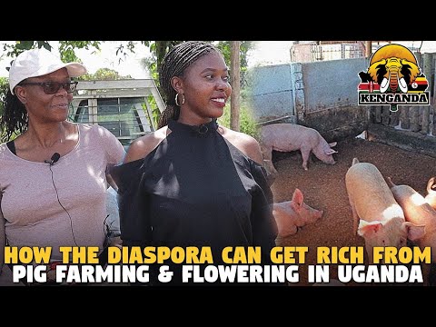 How A Zimbabwean Woman Moved to Uganda and Made it BIG in Pig FARMING!!!!!!!!!!