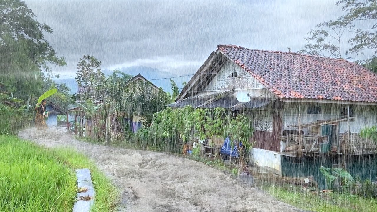 Walking in the Heavy Rain With the sound of thunder on the village hill Red soil|Very refreshing ...