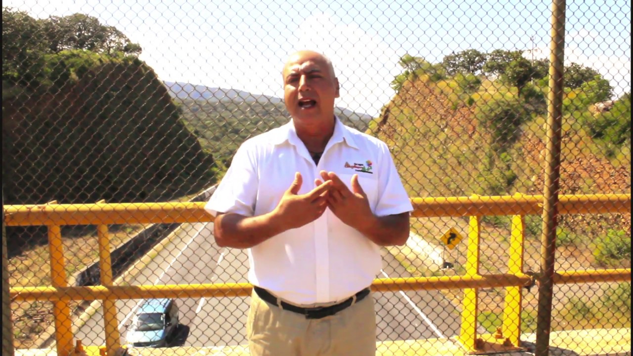 JOSE HECTOR 4to y 5to PASO SER MANSO NO MENSO - YouTube