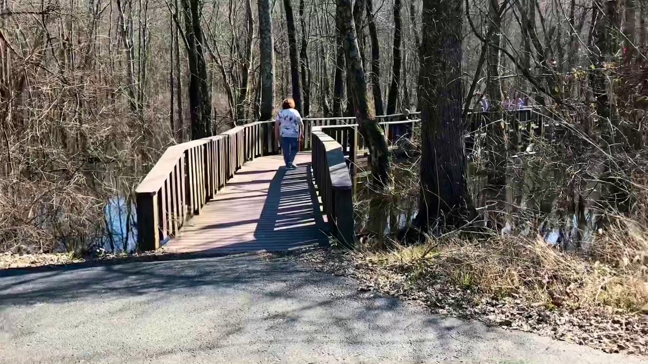 Mingo National Wildlife Refuge May 2020 - YouTube