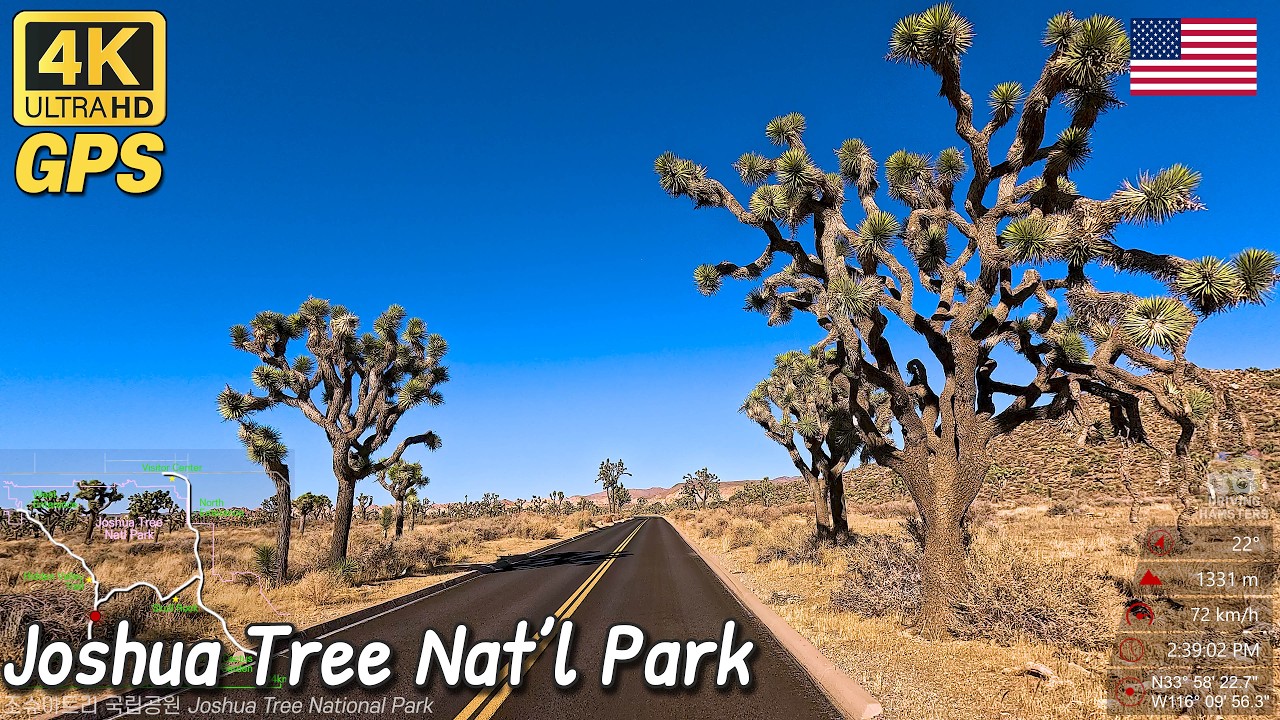 Joshua Tree National Park Scenic Drive 4K, USA · Surreal Scenery of ...