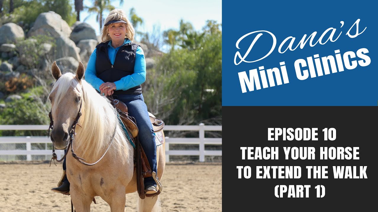 Dana's Mini Clinics | Episode 10 - Teach Your Horse to Extend the Walk ...