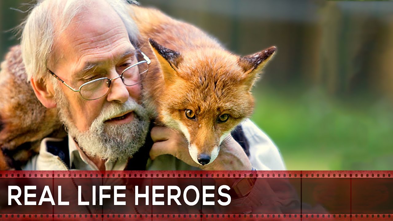 Animal Rescue Compilation 9 REAL LIFE HEROES - YouTube