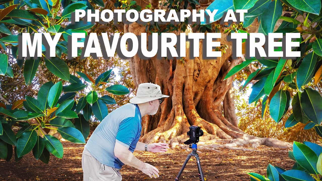 Photography at my Favourite Tree - YouTube