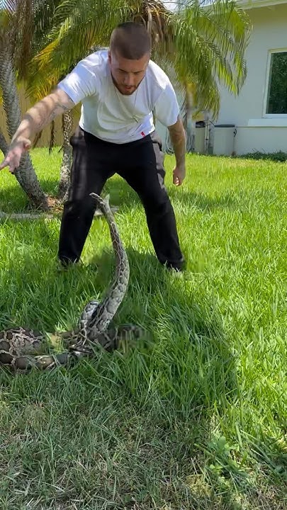 Wild 10 Foot Snake Almost Got Me!!! - YouTube