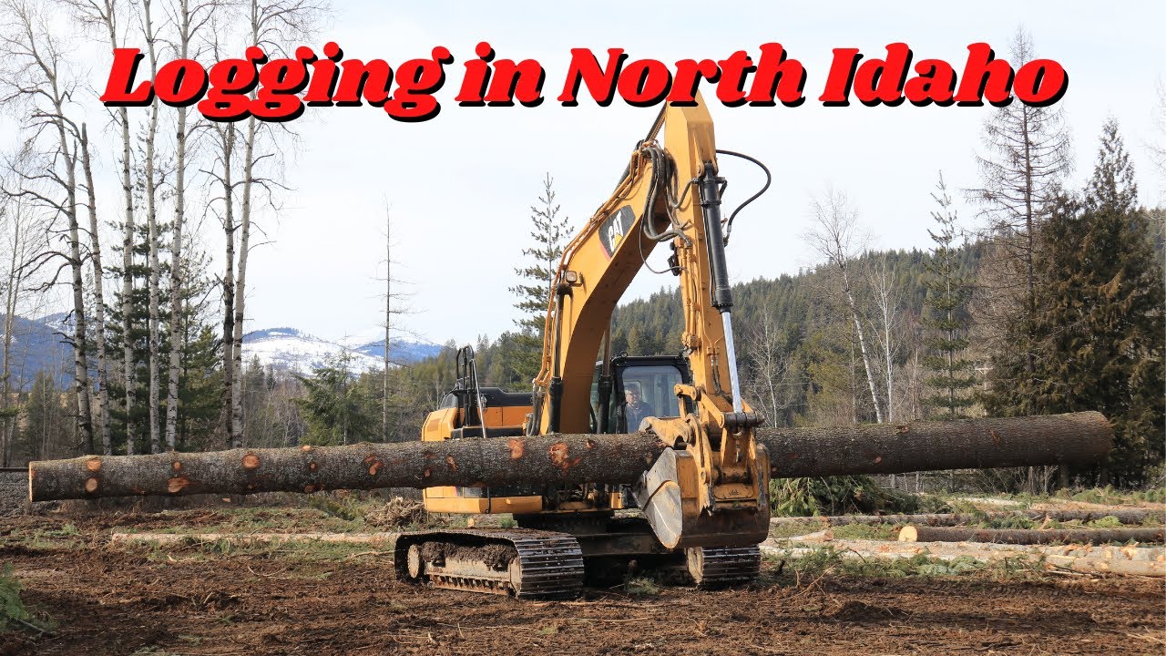 Our Experience With Logging in North Idaho - YouTube