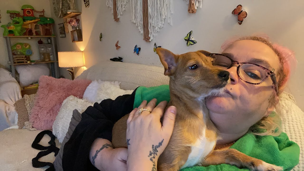 Happy Wednesday from Daisy and me 🐶 - YouTube