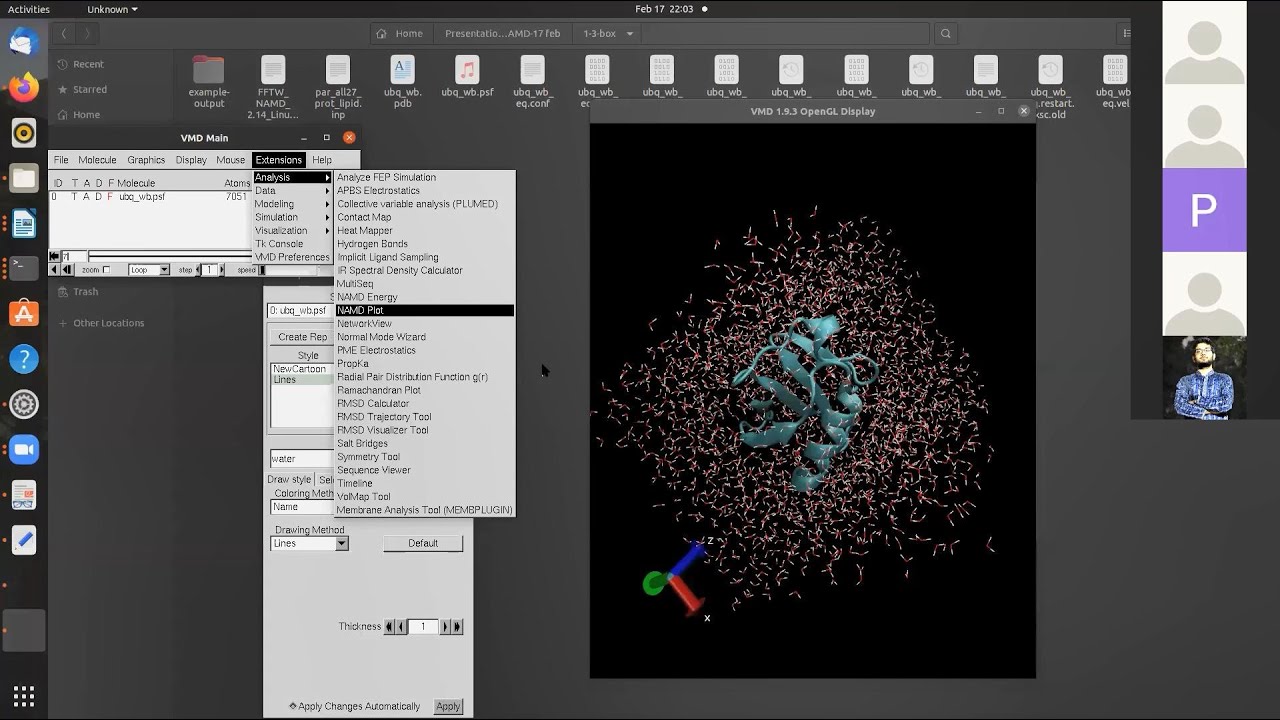 Coarse Grain Molecular Dynamics and Protein Dynamics Simulation using ...