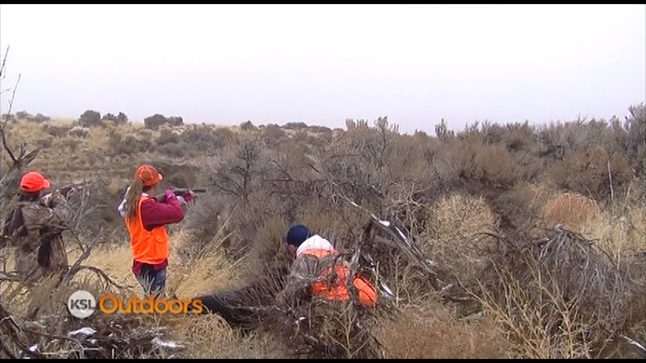 KSL Outdoors: 4th annual "Who Stole the Grinch Hunt" at Wasatch Wing ...