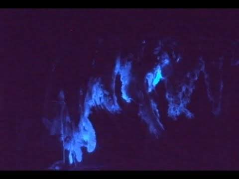 化學示範實驗：利用魯米諾偵測血液（Using the Luminol Test to Detect Blood） - YouTube
