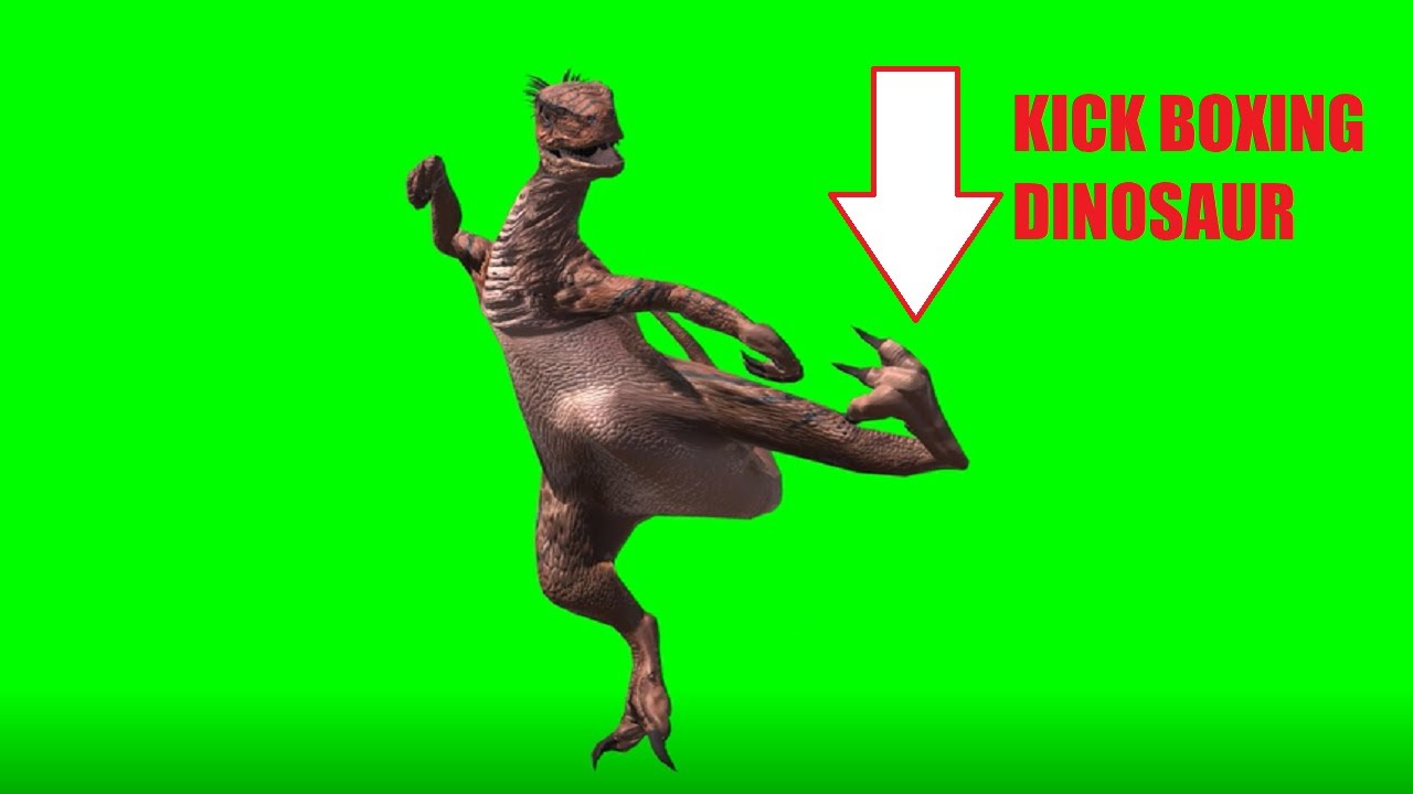 Dinosaur Green Screen Kick Boxing 3D Animation - YouTube