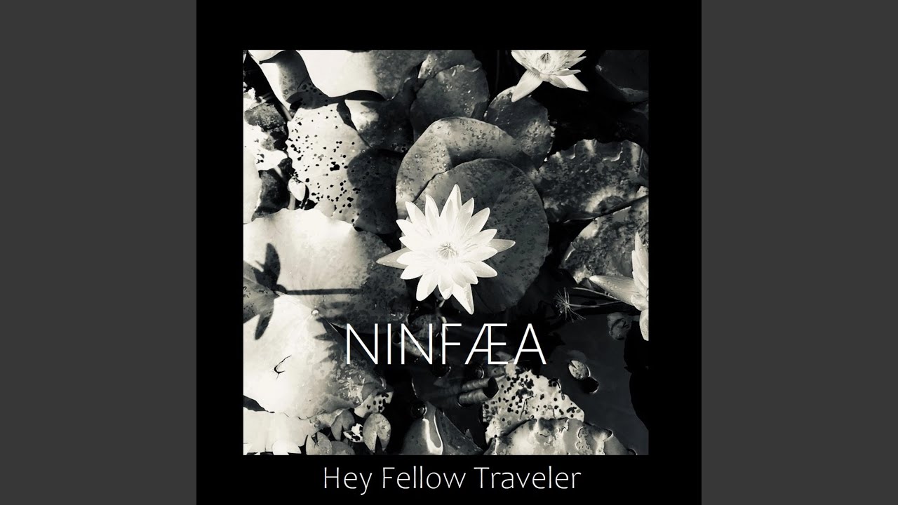 Hey Fellow Traveler - YouTube