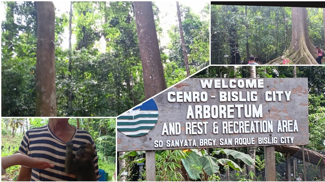 ARBORETUM IN BISLIG CITY PART3 WITH COUSAB || WONDERFUL GREEN WORLD ...