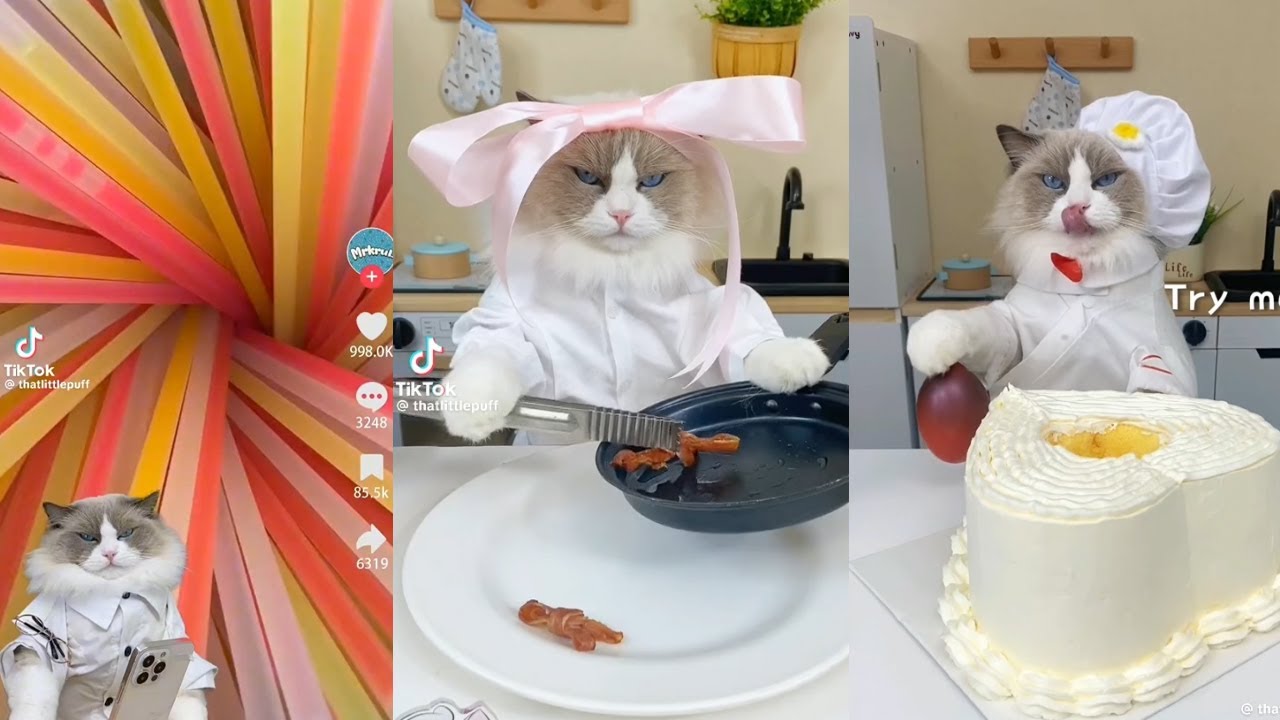 That Little Puff - Best TikToks February 2024 - YouTube