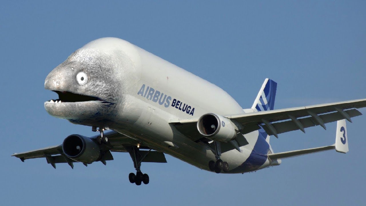 Cursed plane images with Minecraft cave sounds - YouTube