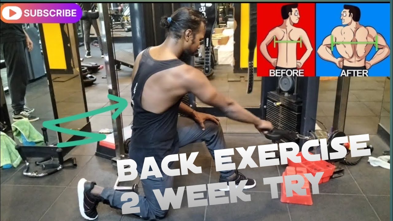 back exercise 1 day to 14 days best back workout - YouTube