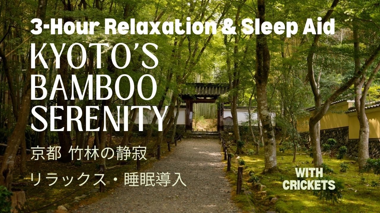"3-Hour Bamboo Relaxation with Crickets | Kyoto Meditation & Sleep Aid ...