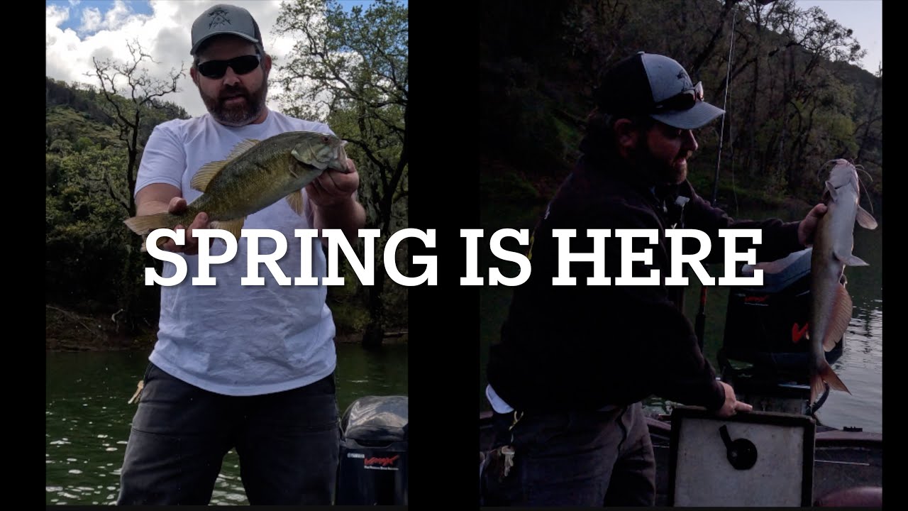 Great spring Day fishing the lake small mouth, large mouth, steelhead ...