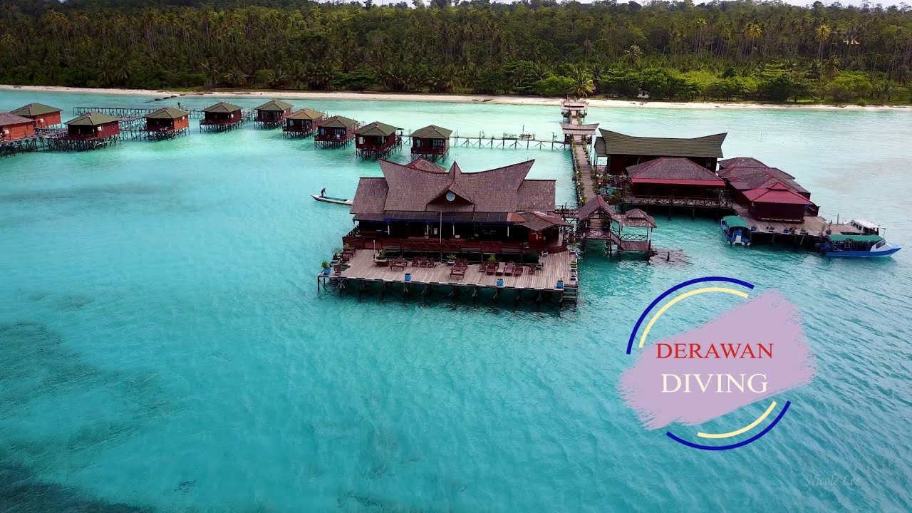 Indonesia Derawan Diving 印尼達拉灣潛水 - YouTube