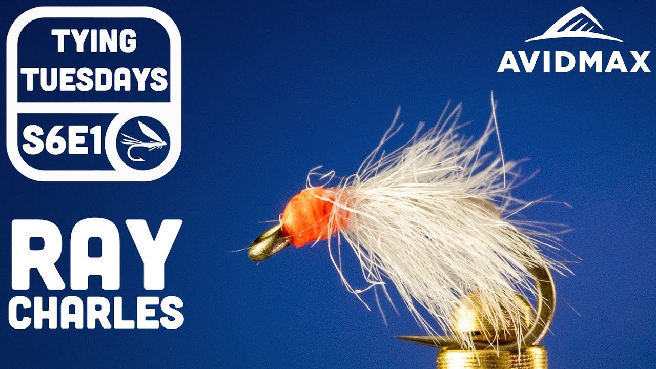 How to tie the Ray Charles | AvidMax Fly Tying Tuesday Tutorials - YouTube