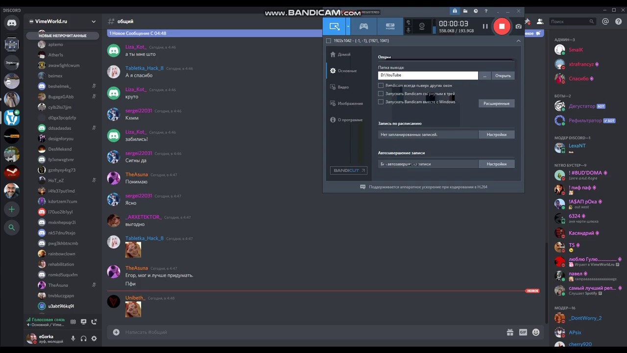 DDOS server's DISCORD VimeWorld - YouTube