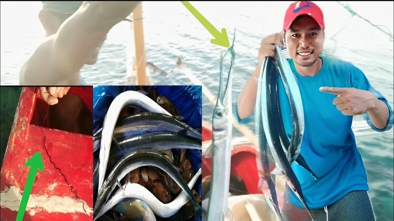 Very Simple at Napakamabisang pamain ng isdang Balo (Needle fish ...