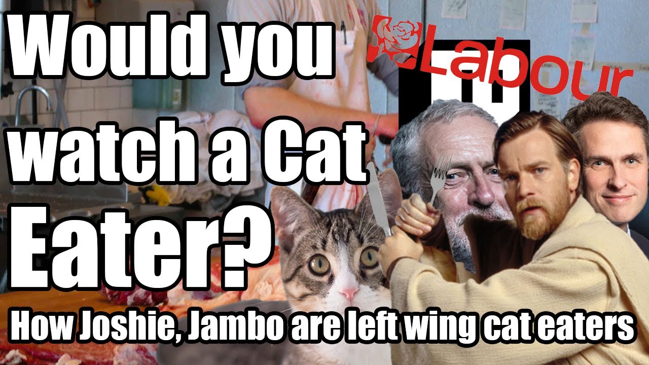 Joshie_SP and Jambo are left wing Cat Eaters? - YouTube